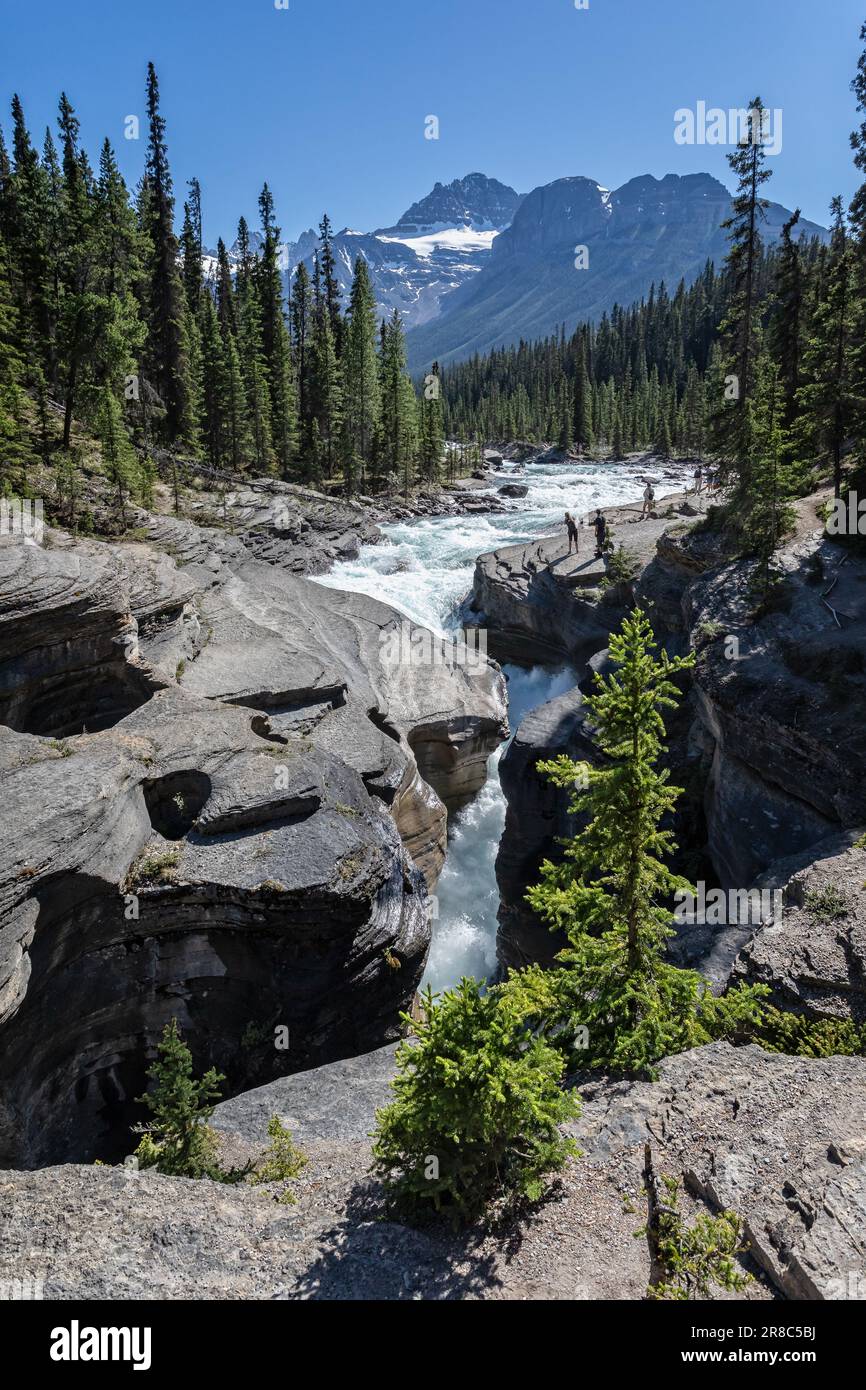 Glacial raging waterfalls with snow capped mountains in the background ...