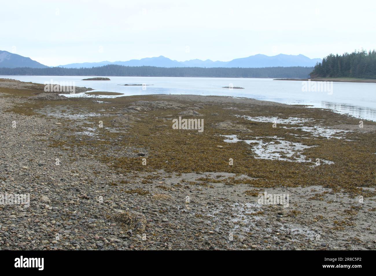 Alaska's inner passage; admiralty island; pack creek; Pavlov lake and ...