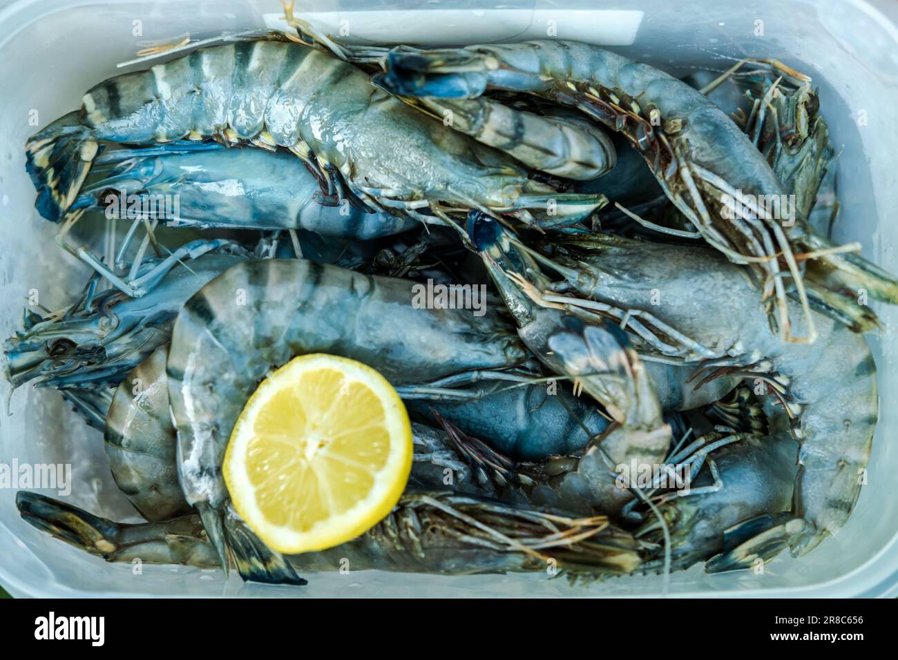 Raw ocean king prawns in a tray with half a lemon in the tray ...