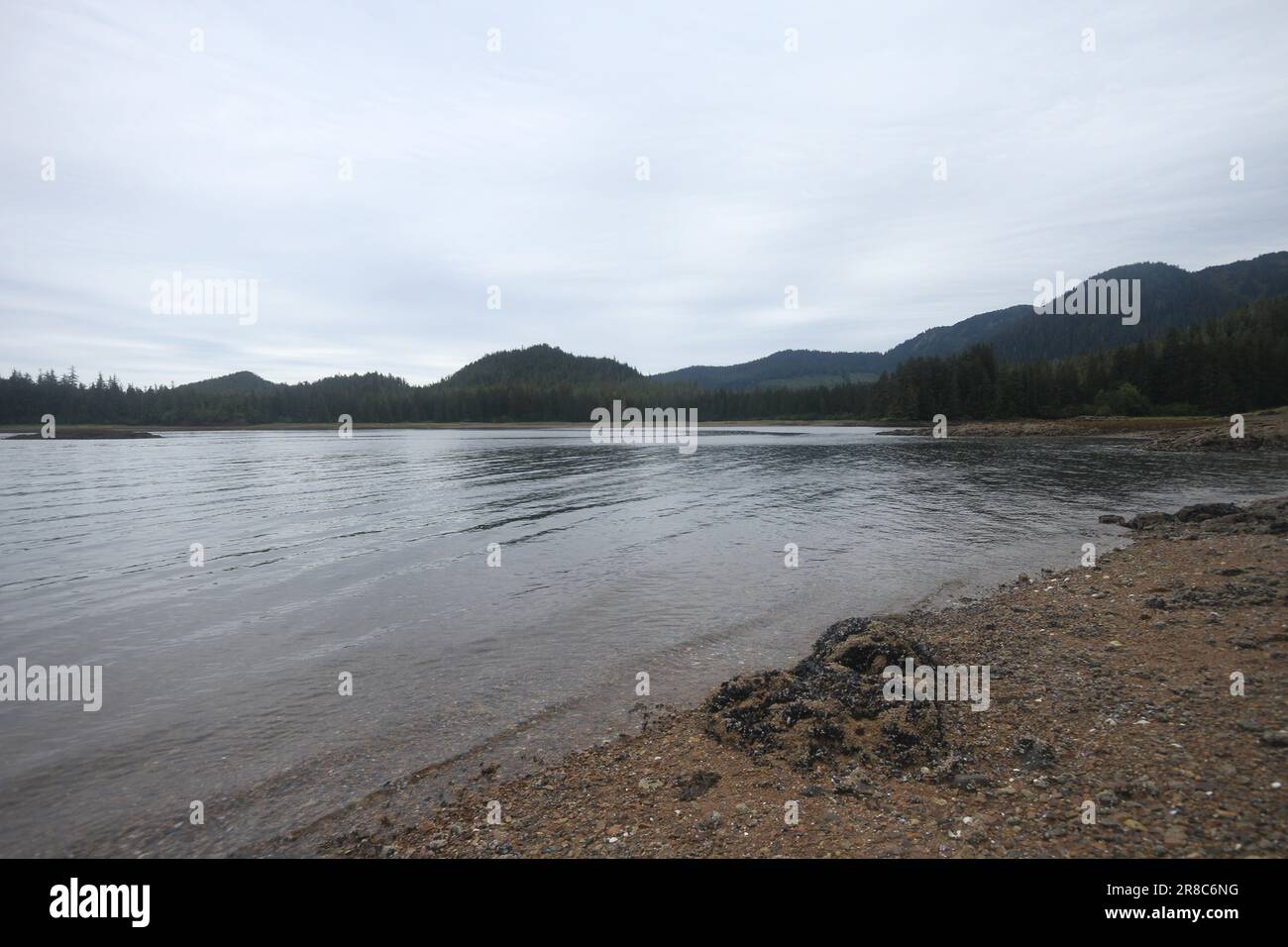 Alaska's inner passage; admiralty island; pack creek; Pavlov lake and ...