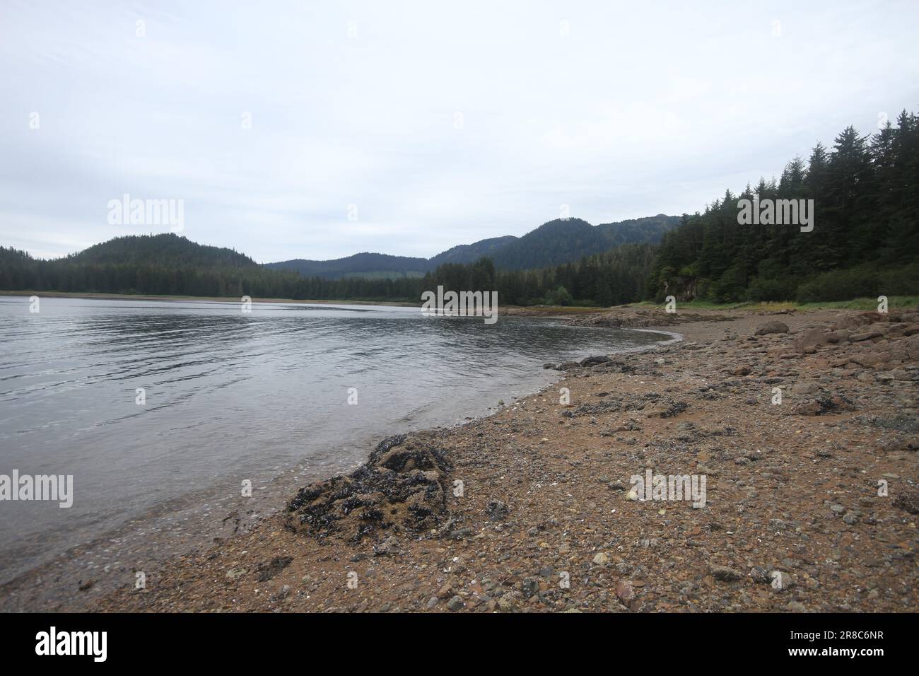 Alaska's inner passage; admiralty island; pack creek; Pavlov lake and ...
