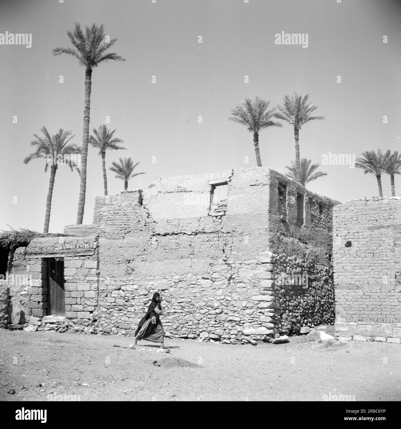 Current 2-4-1960: Short meeting with Egypt Nasser's Egypt is the land ...