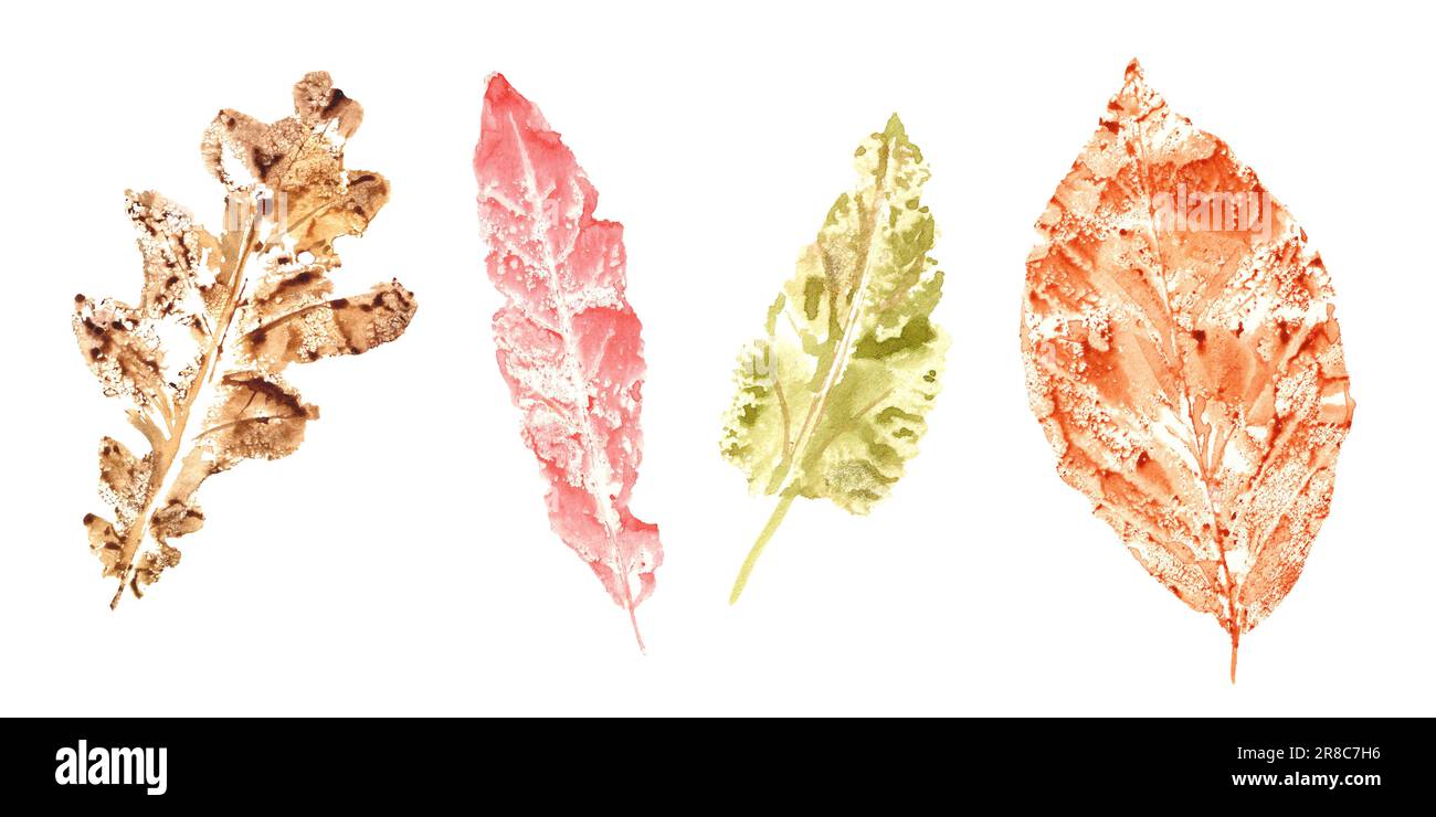 Imprints of autumn leaves in orange, yellow, pink colors isolated on ...