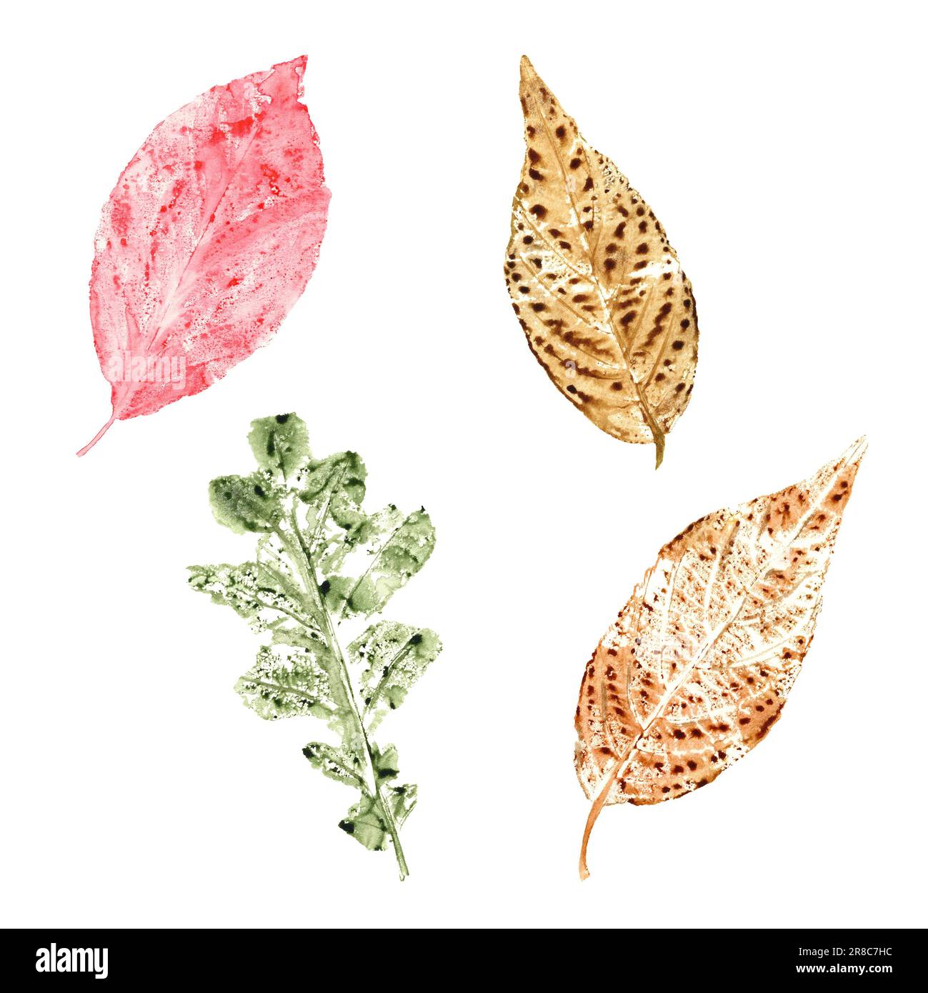 Oak leaf imprint hi-res stock photography and images - Alamy