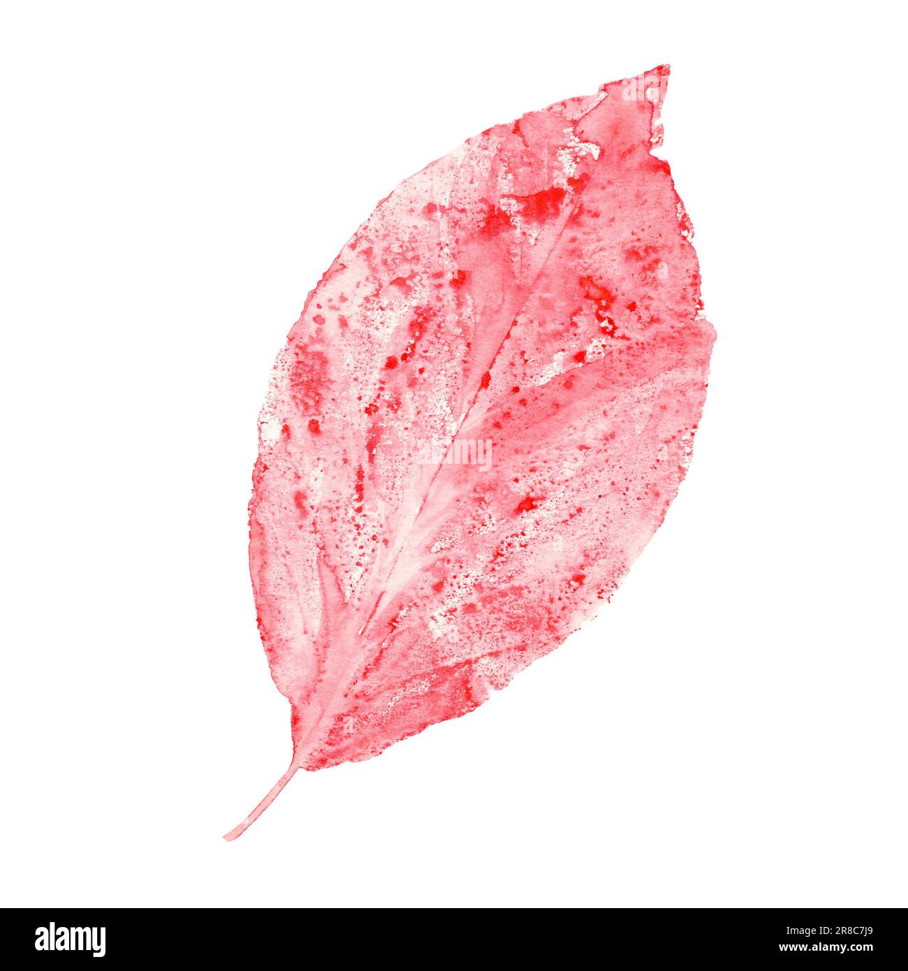 Design vintage leaf imprint Cut Out Stock Images & Pictures - Alamy