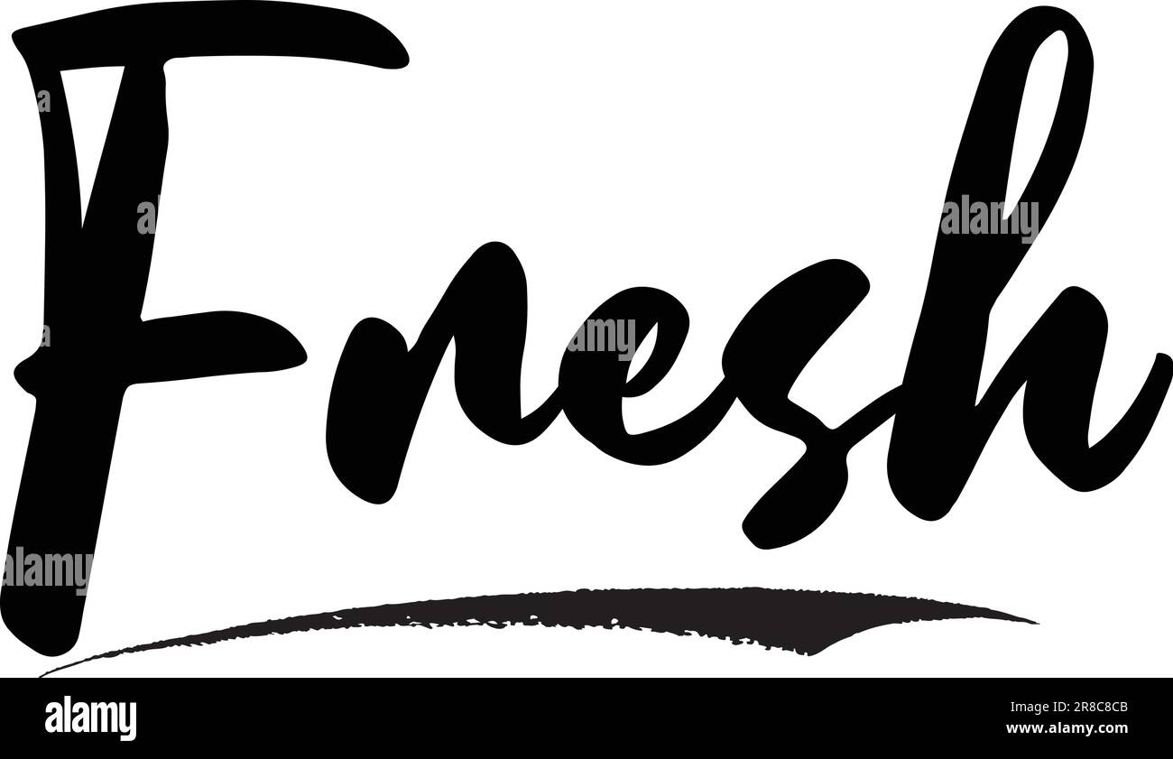 Elegant Bold Typography Lettering Text Vector Design Quote Stock Vector ...