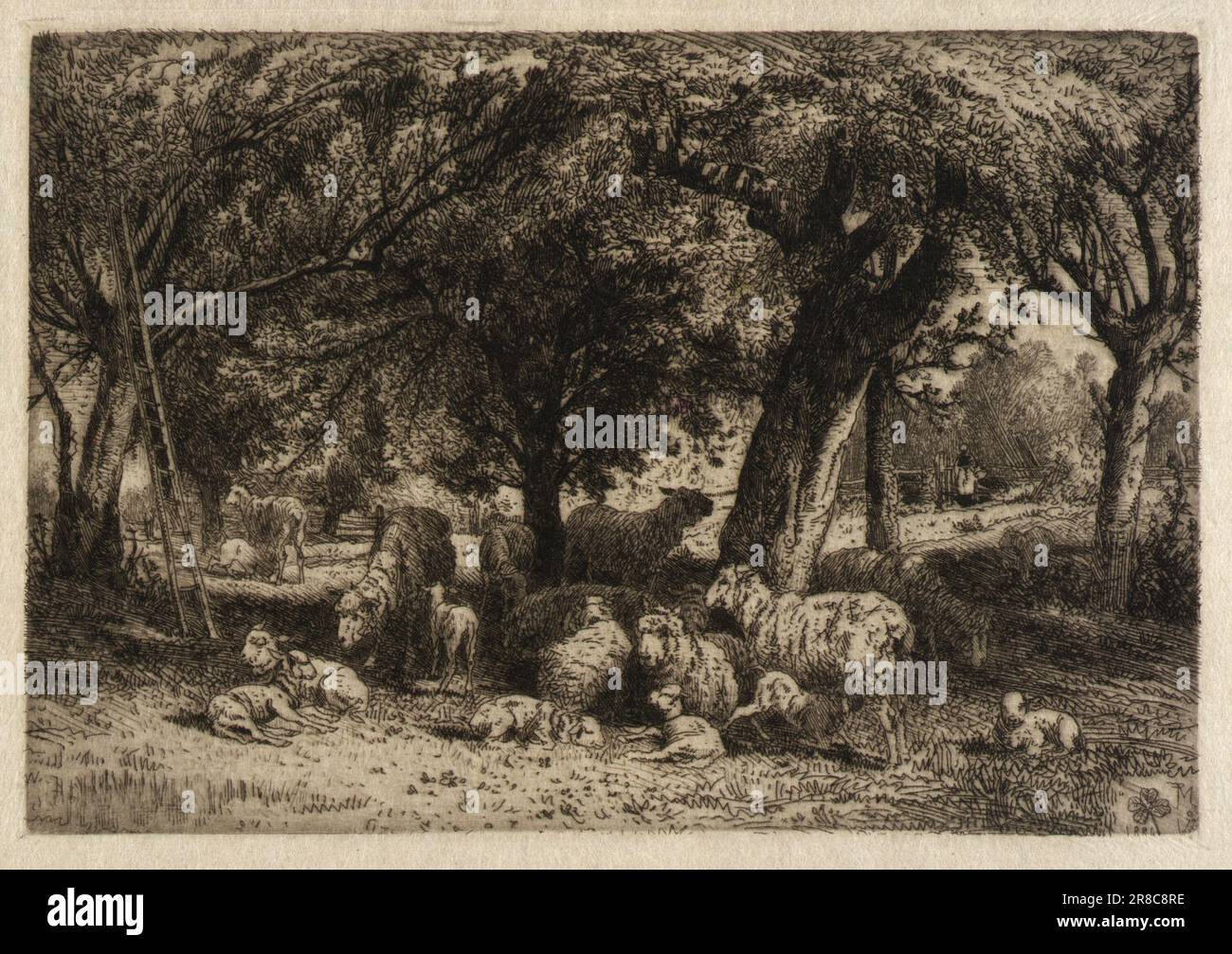 (Sheep in an Orchard) 1884 (plate) by Peter Moran, born Bolton, England ...