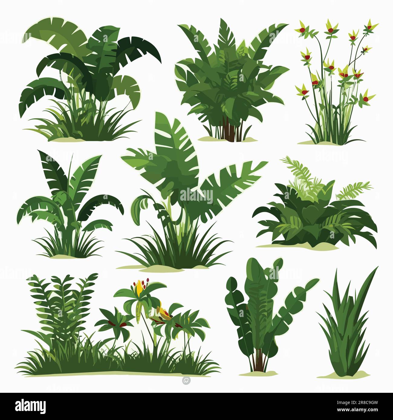 Exotic vegetation Stock Vector Images - Alamy