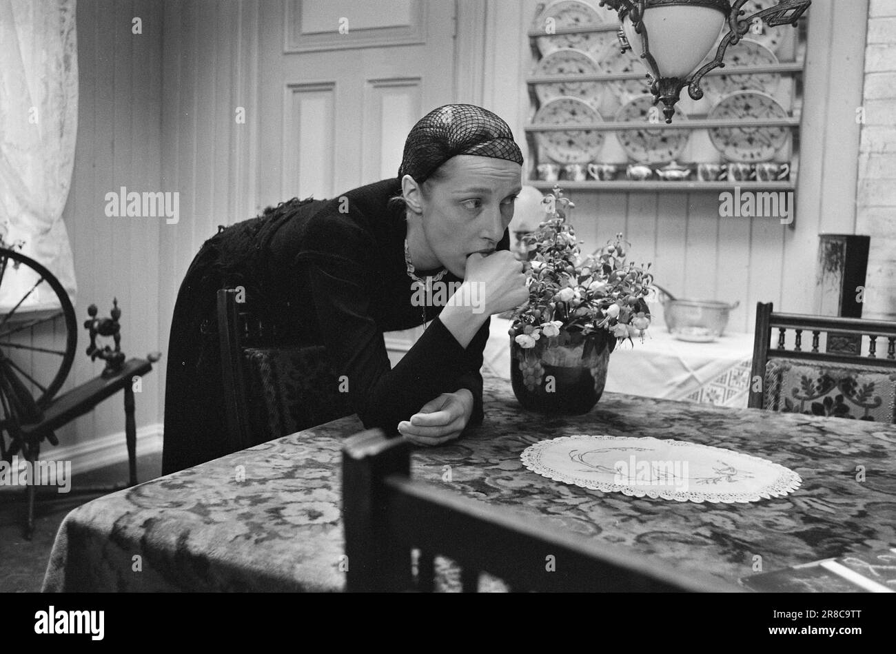 Honselovisa hi-res stock photography and images - Alamy