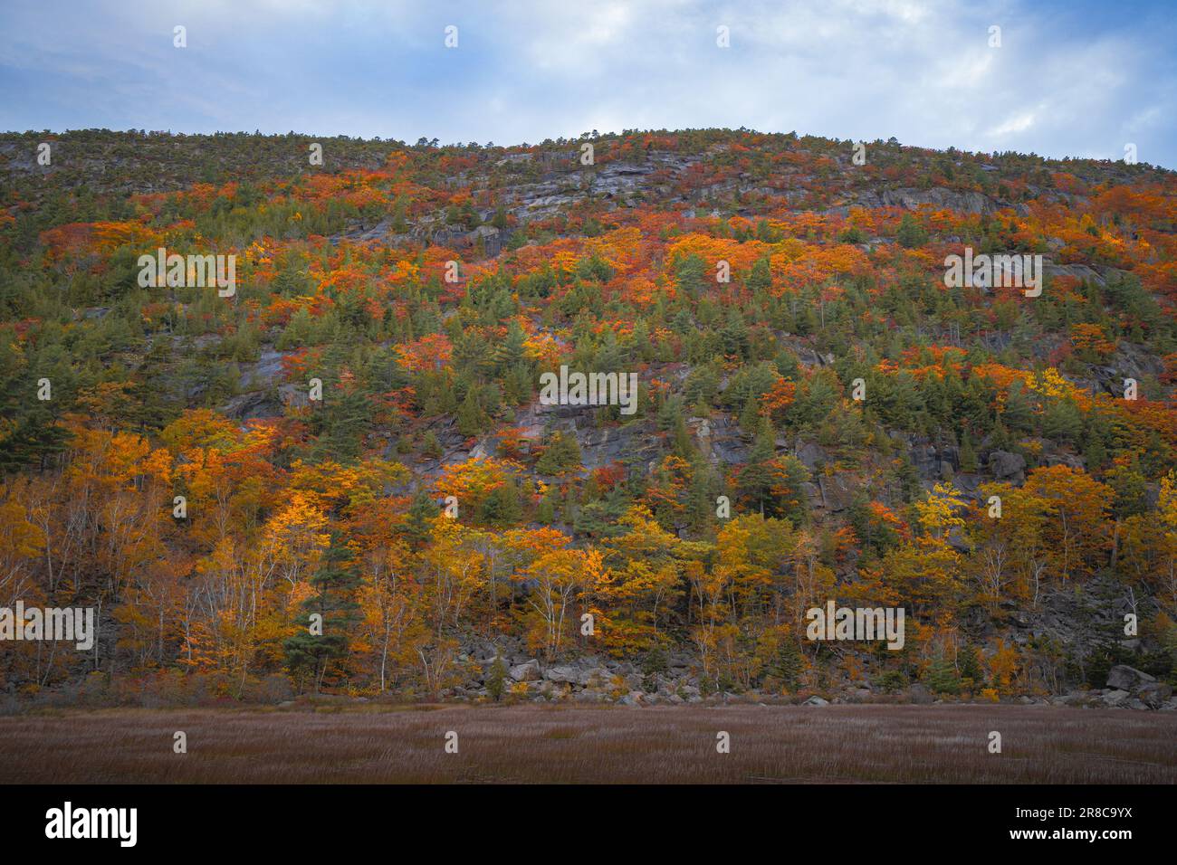 Acadia National Park near Bar Harbor Maine: Fall Foliage Stock Photo ...