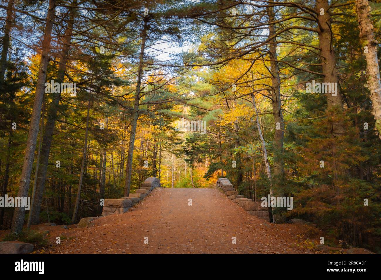 Acadia National Park bike path in Fall near Bar Harbor Maine Stock ...