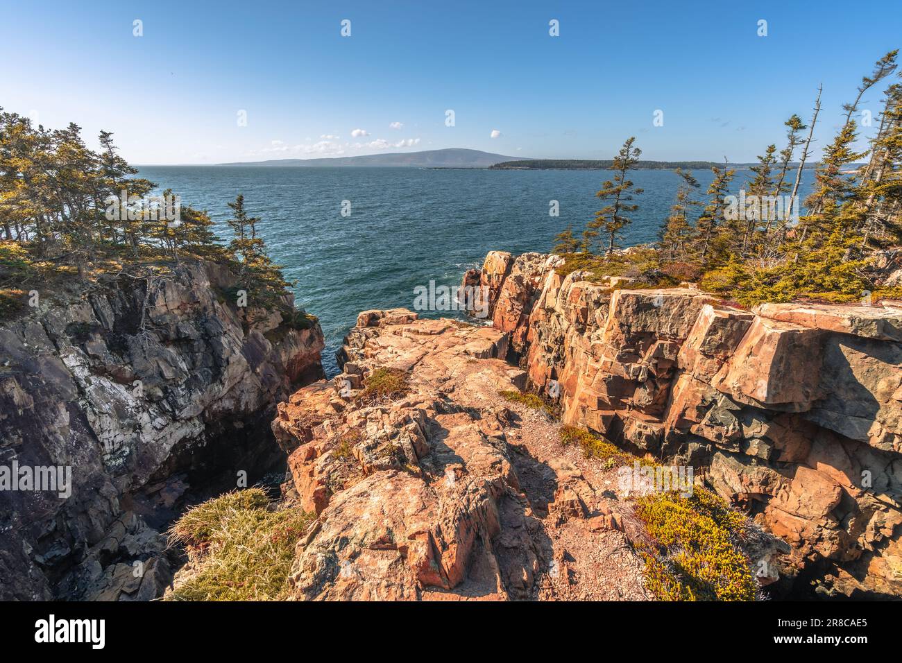 Ravens nest hi-res stock photography and images - Alamy