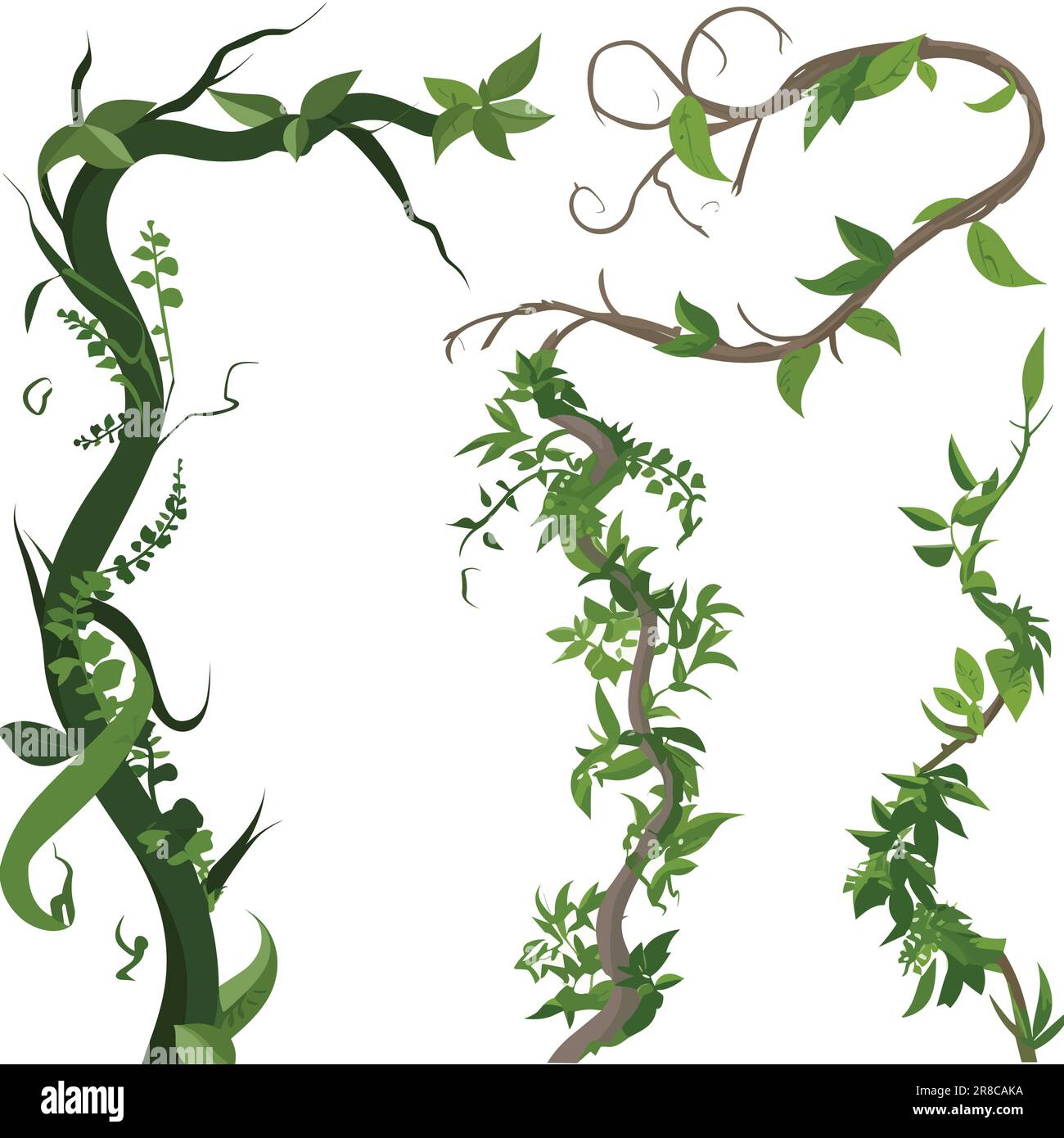 Tropical forest vines Stock Vector Images - Alamy