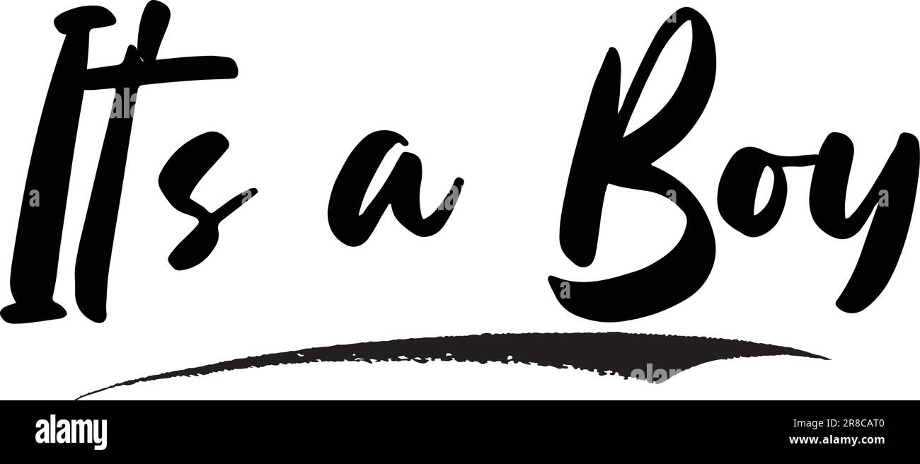 Elegant Bold Typography Lettering Text Vector Design Quote Stock Vector ...