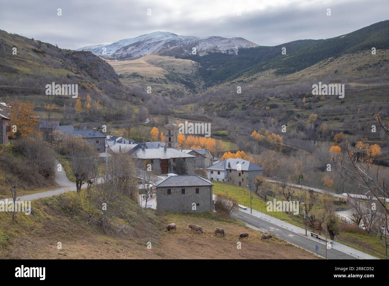 Catalonian heritage hi-res stock photography and images - Alamy