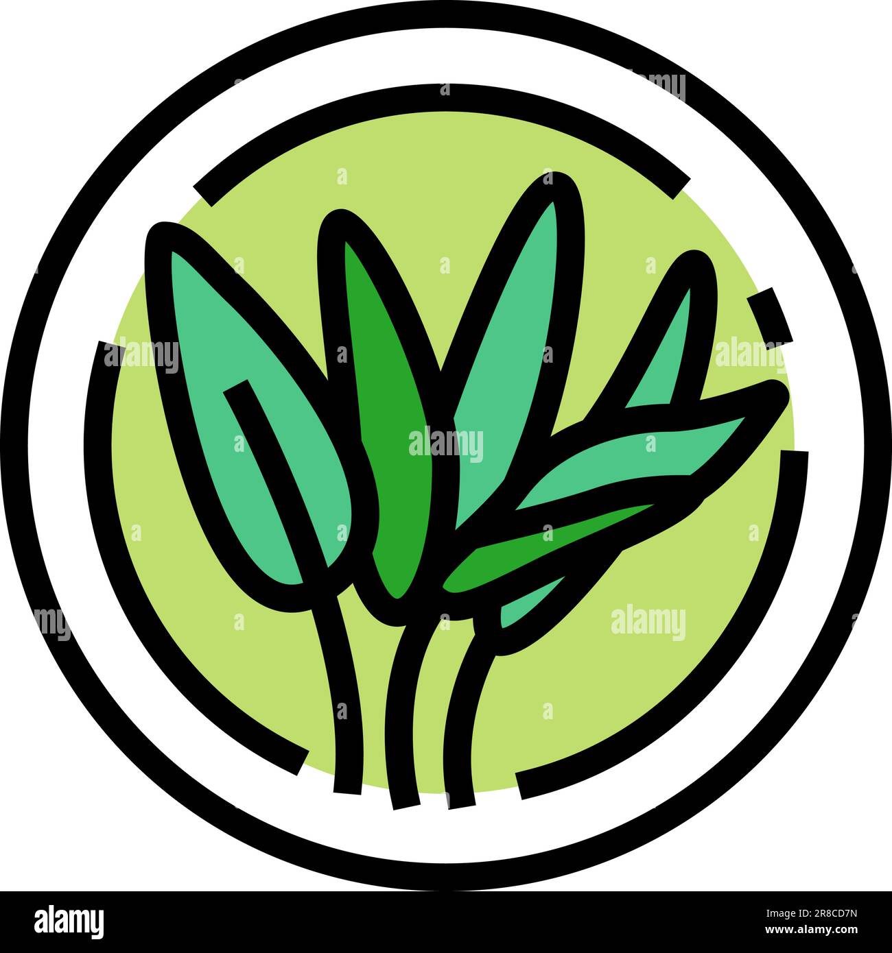 Sage green wall Cut Out Stock Images & Pictures - Alamy