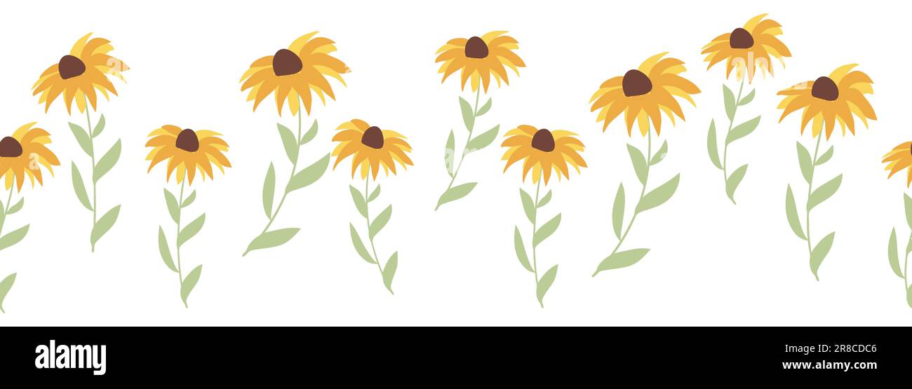 Rudbeckia chamomile Asteraceae horizontal border seamless pattern Stock ...
