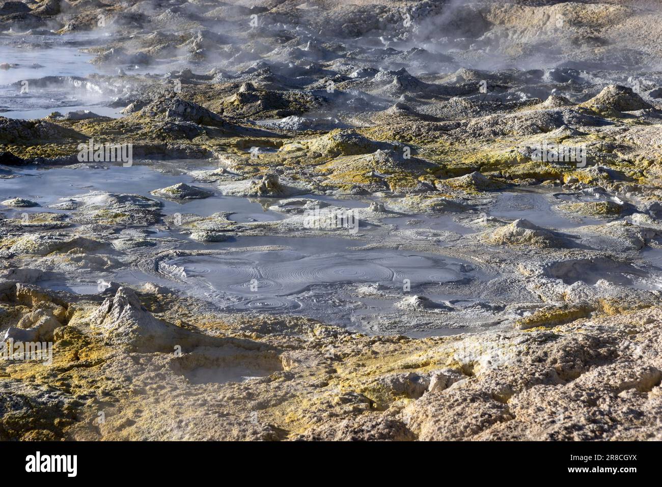 Stunning geothermic field of Sol de Mañana with its steaming geysers ...
