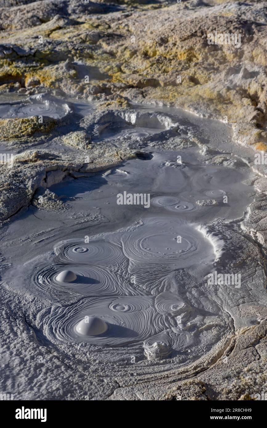 Stunning geothermic field of Sol de Mañana with its steaming geysers ...