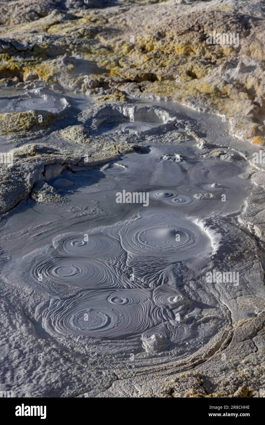 Stunning geothermic field of Sol de Mañana with its steaming geysers ...