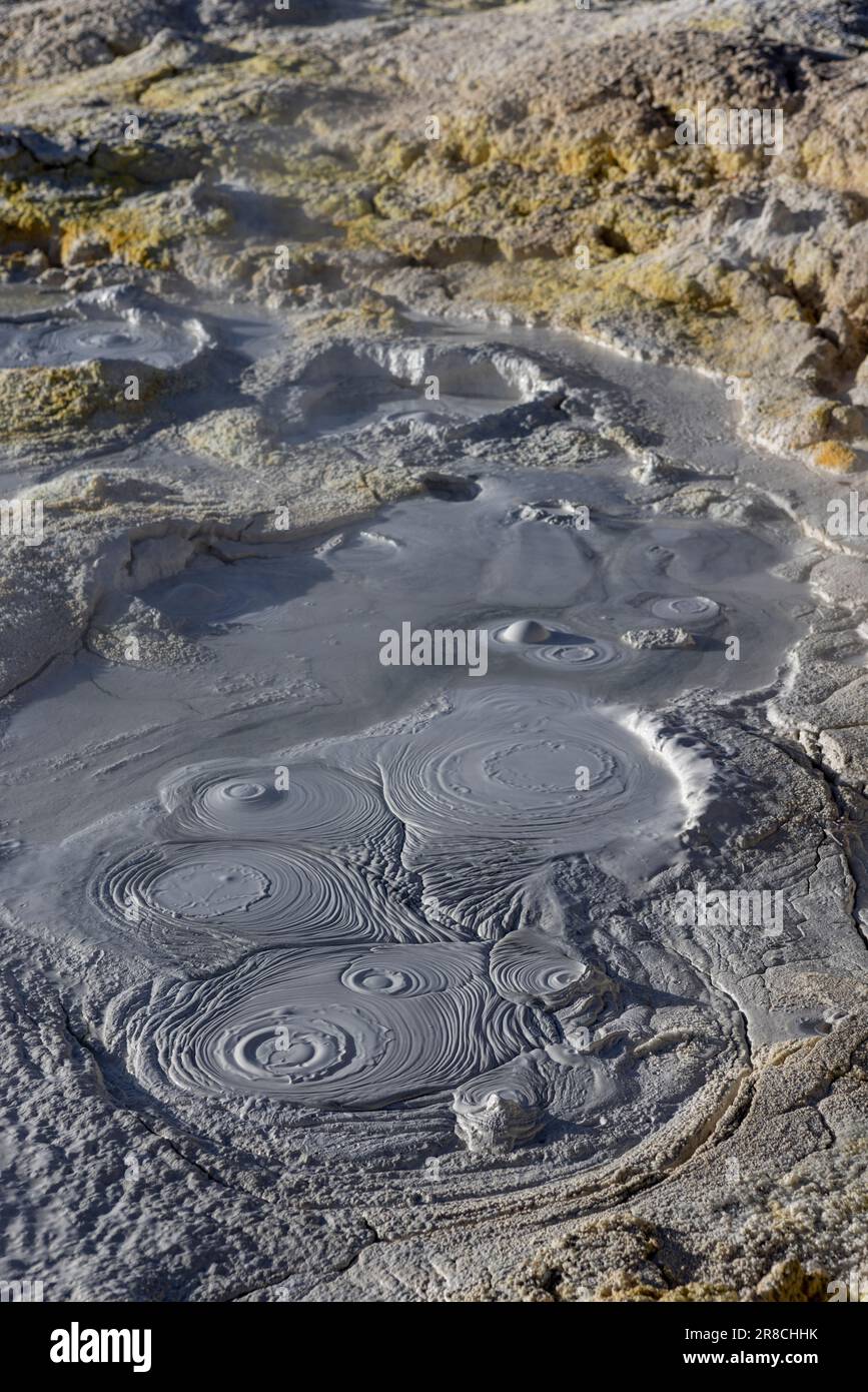 Stunning geothermic field of Sol de Mañana with its steaming geysers ...