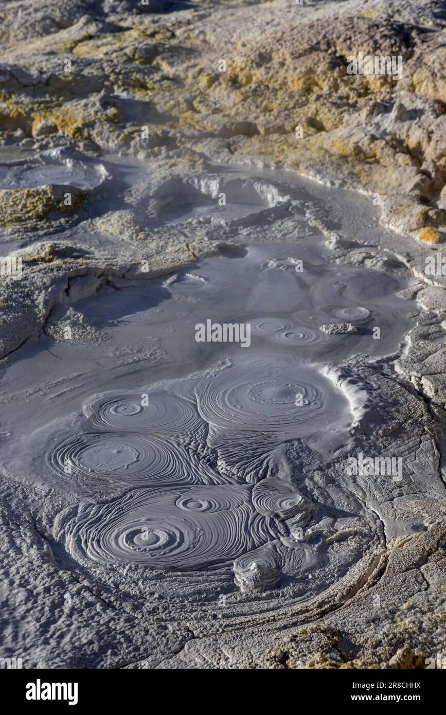 Stunning geothermic field of Sol de Mañana with its steaming geysers ...