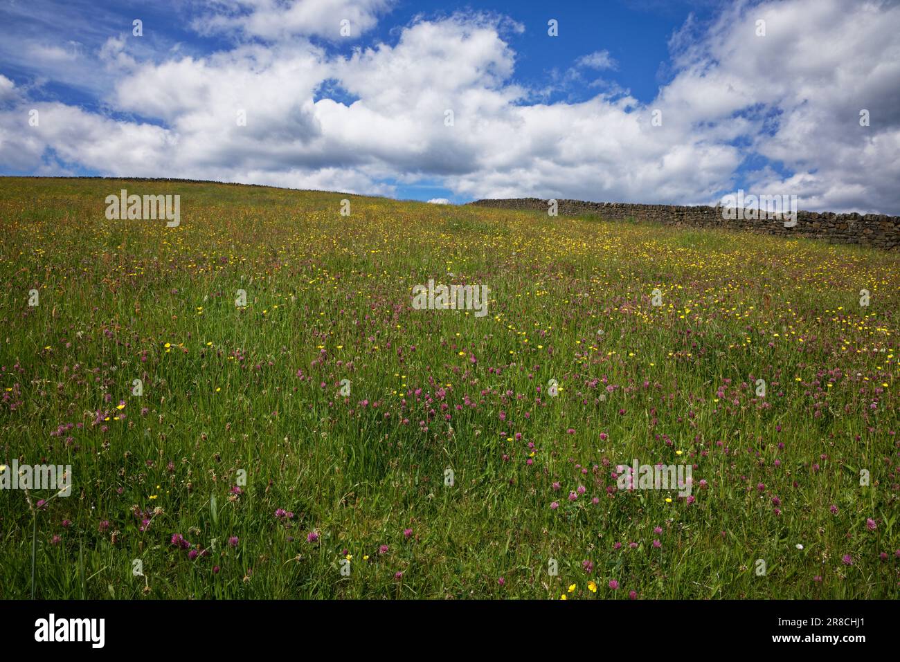 Upland grassland hi-res stock photography and images - Alamy