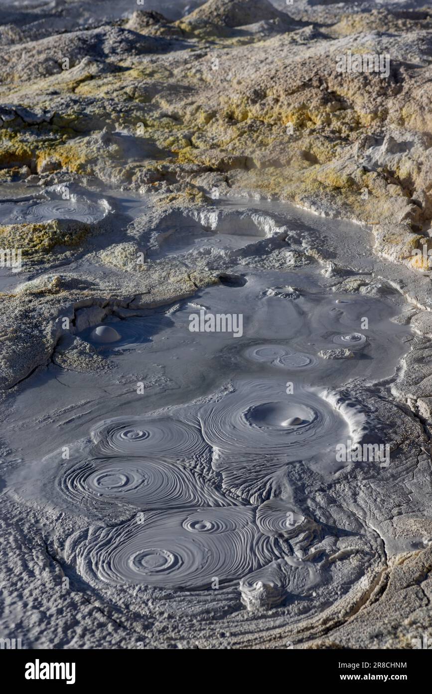 Stunning geothermic field of Sol de Mañana with its steaming geysers ...