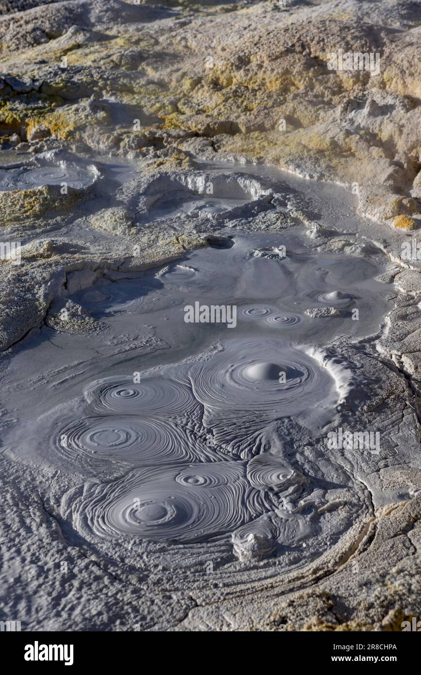 Stunning geothermic field of Sol de Mañana with its steaming geysers ...