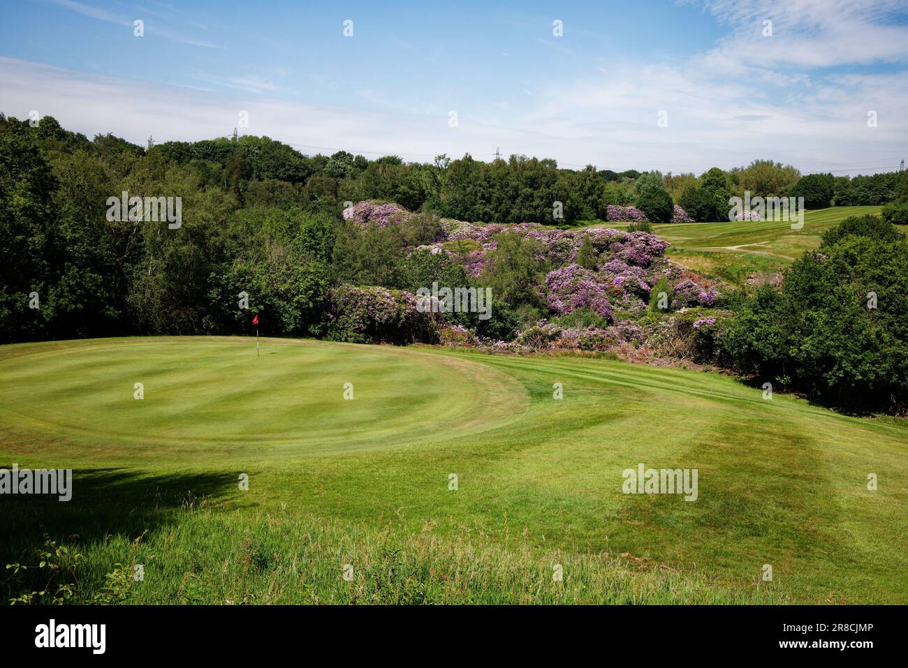 A neatly mown tee at Heaton Park Golf Course, Manchester Stock Photo ...