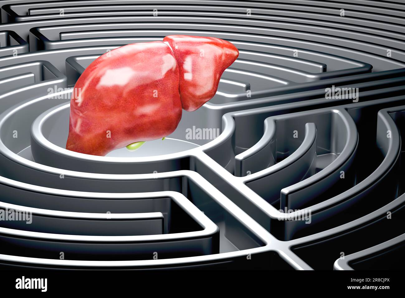 Human liver with gallbladder inside dark labyrinth, 3D rendering Stock ...