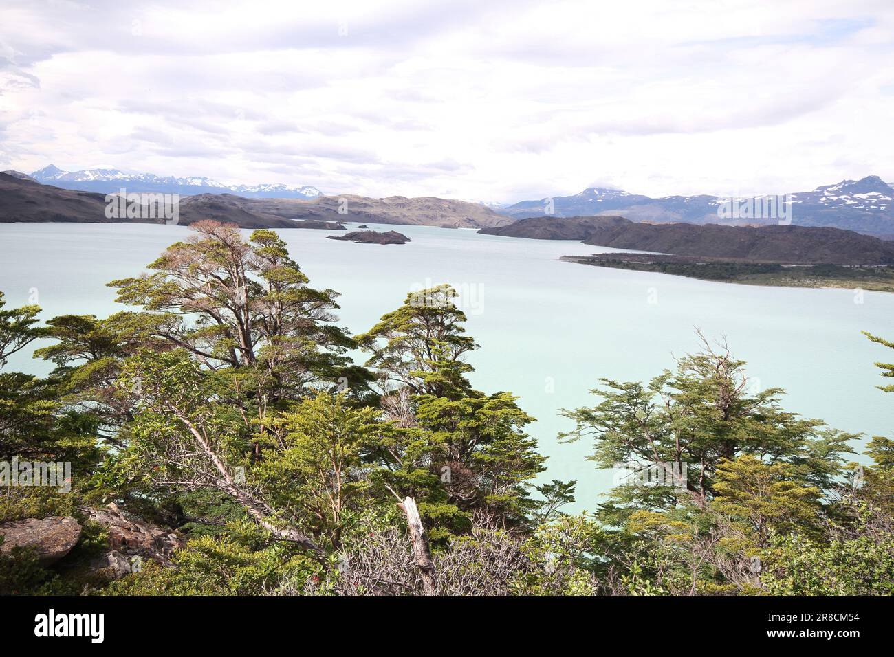 Photo of nature in Patagonia Chile Stock Photo - Alamy