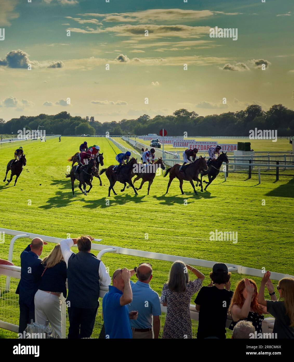 At the Races Stock Photo - Alamy