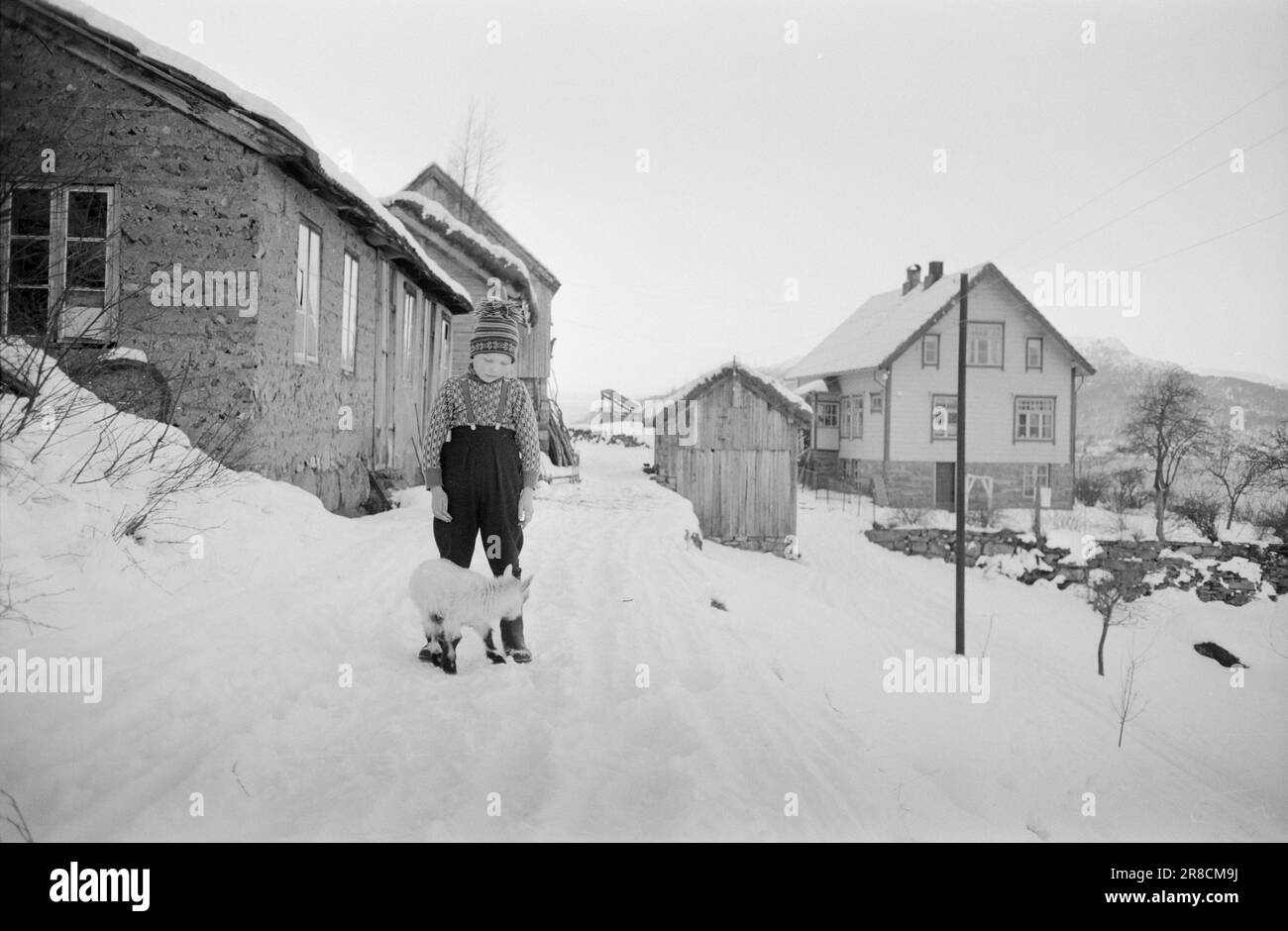 Current 4-6-1960: This is how Norway lives: built by the sea No roads ...