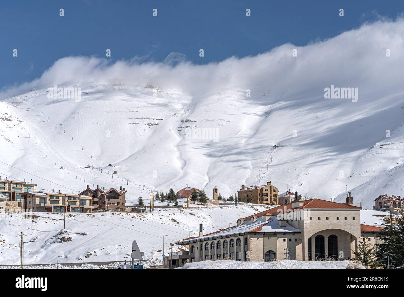Cedar of lebanon forest hi-res stock photography and images - Alamy