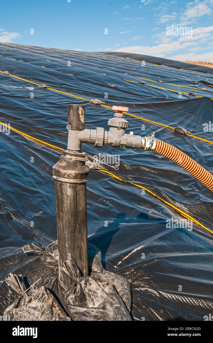A vertical methane well head protrudes from a geomembrane on a hillside ...
