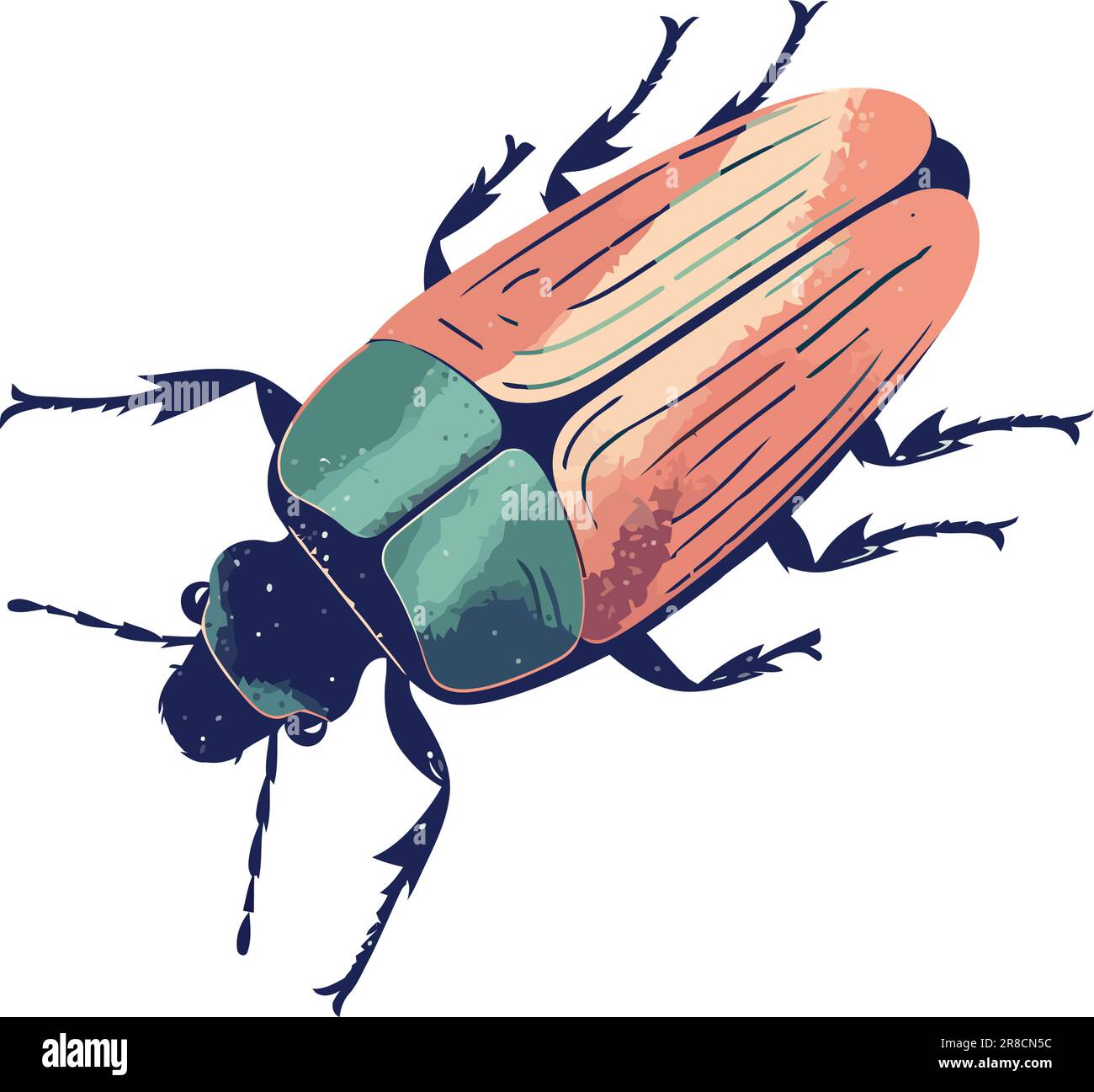 Small insect nature arthropod design Stock Vector Image & Art - Alamy