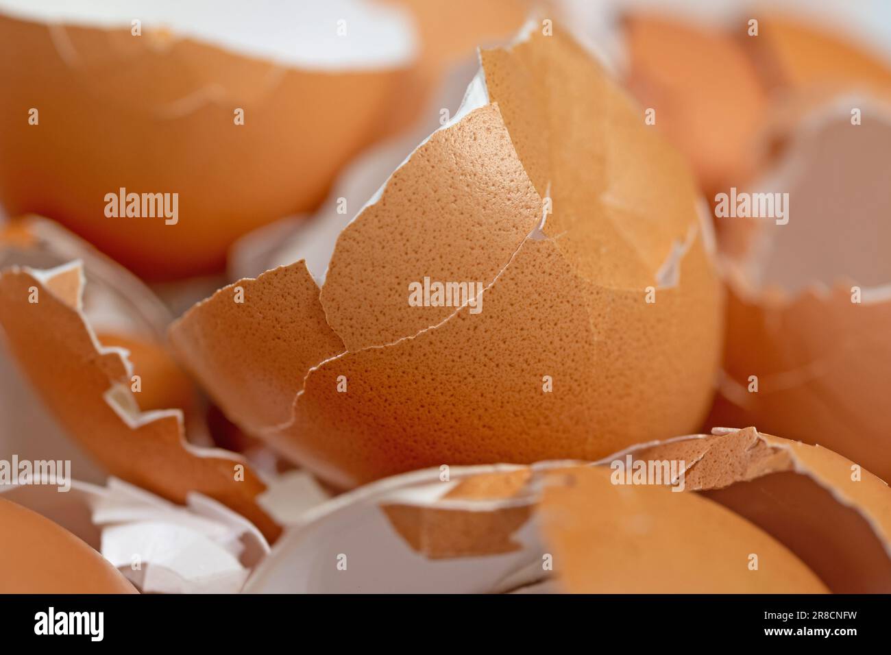 Egg shell shells hi-res stock photography and images - Alamy