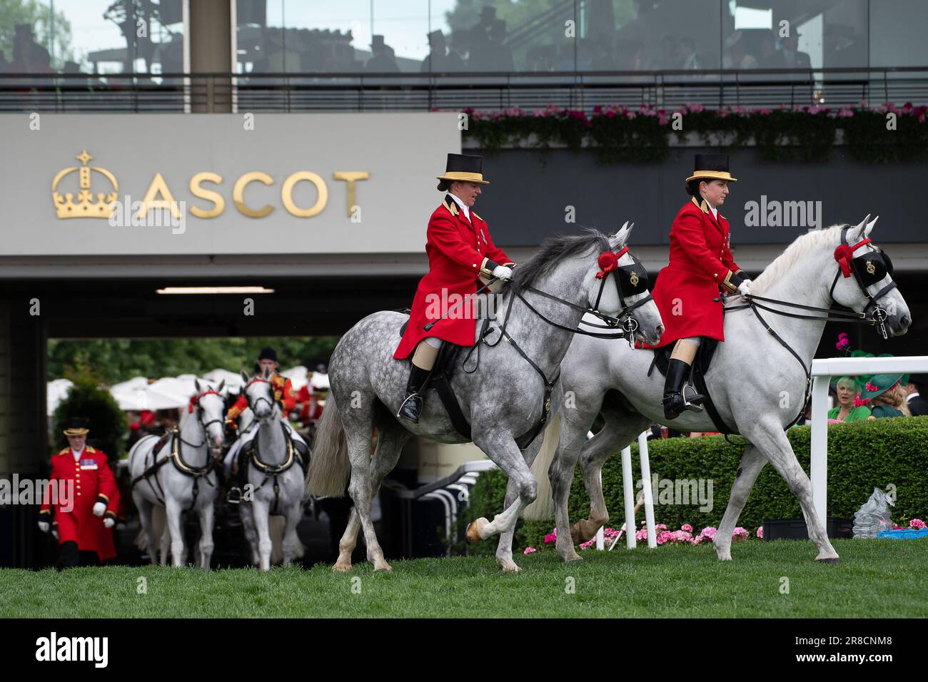 Ascot, Berkshire, UK. 20th June, 2023. The Windsor Greys pull the Royal ...