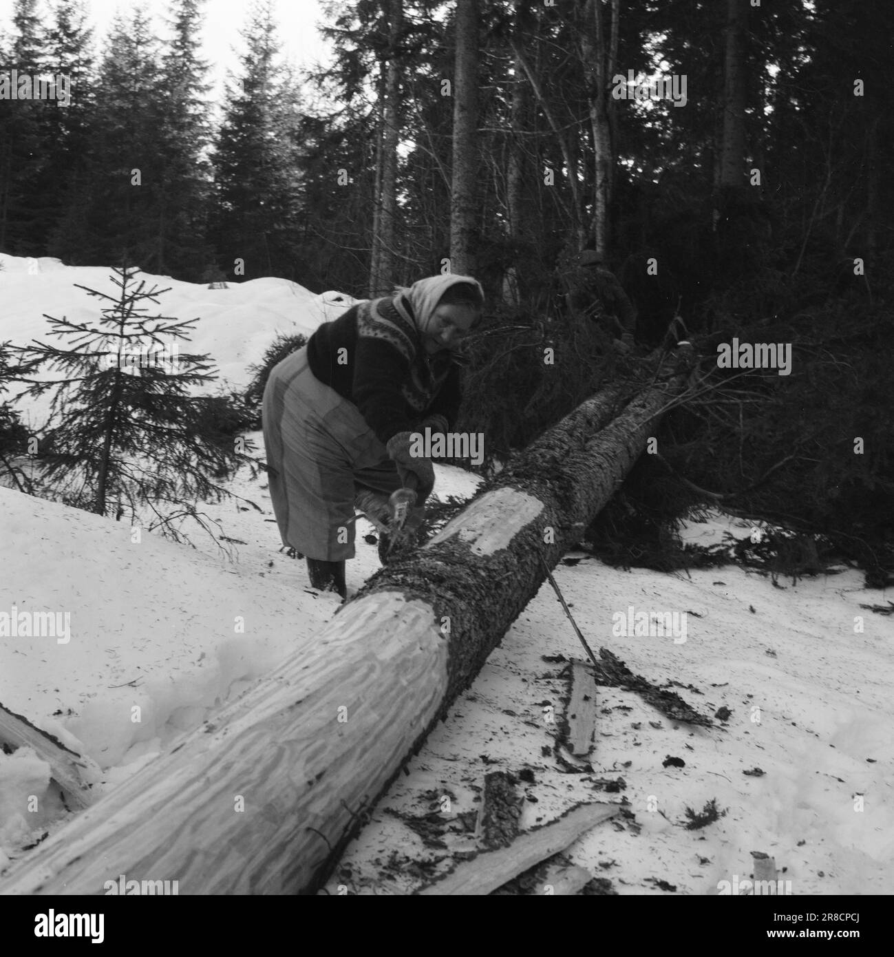 Current 15-8-1960: Anna with the axe Strong as a gamp, mature as a ...