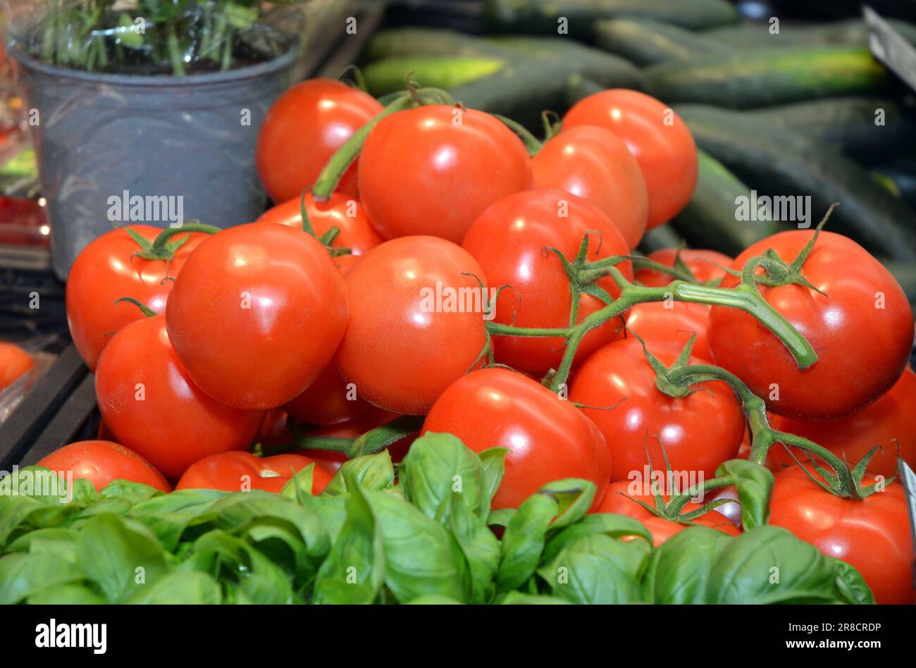 Round tomatoes hi-res stock photography and images - Alamy