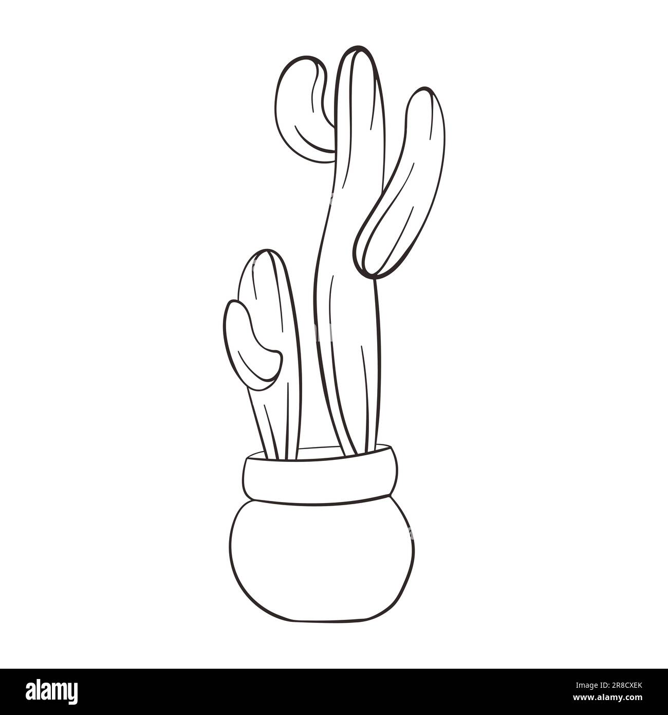 Cactus line art style. Linear Cactus. Hand drawn cactus isolated on ...