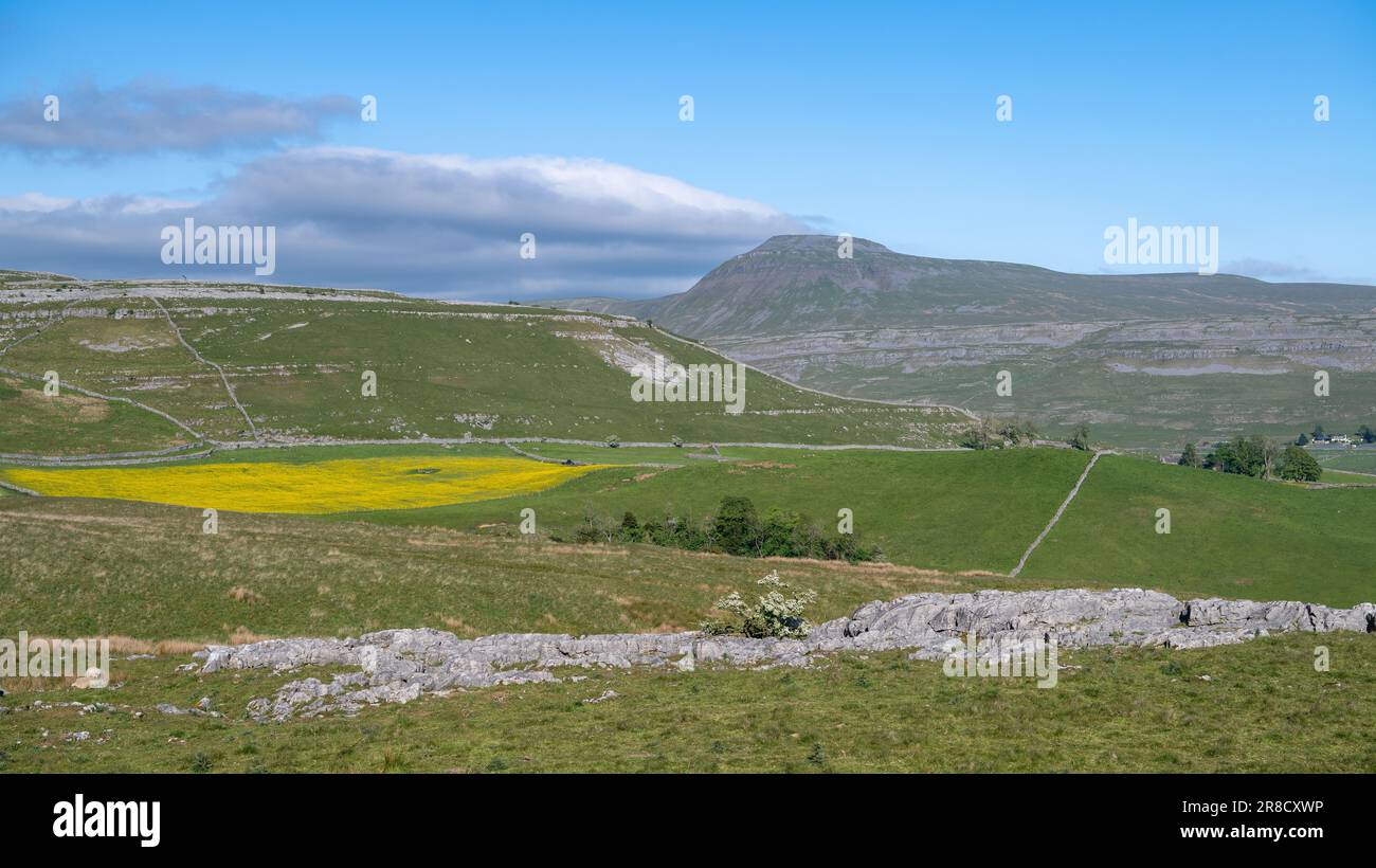 Kingsdale hi-res stock photography and images - Alamy