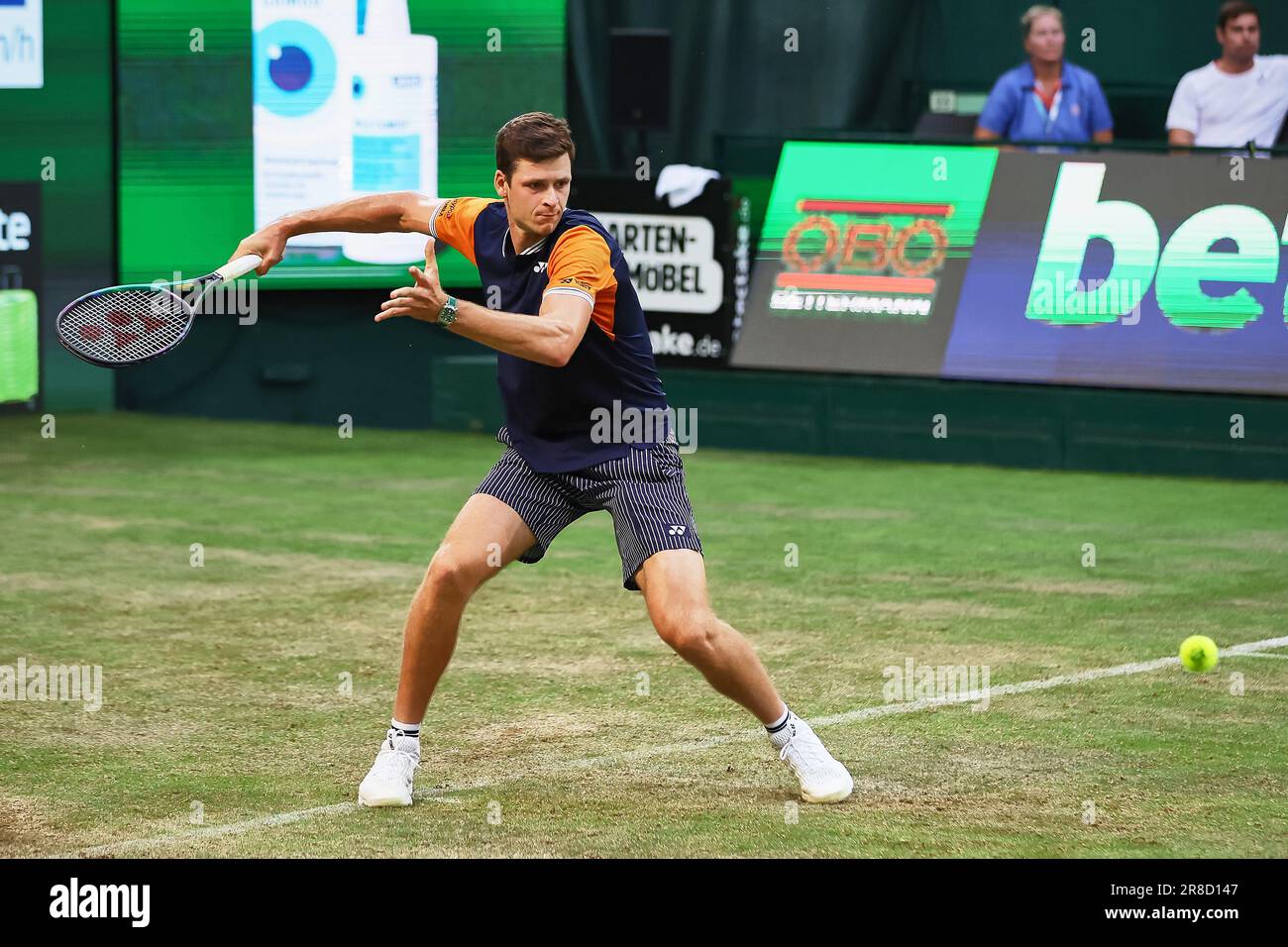 Hurkacz halle hi-res stock photography and images - Alamy