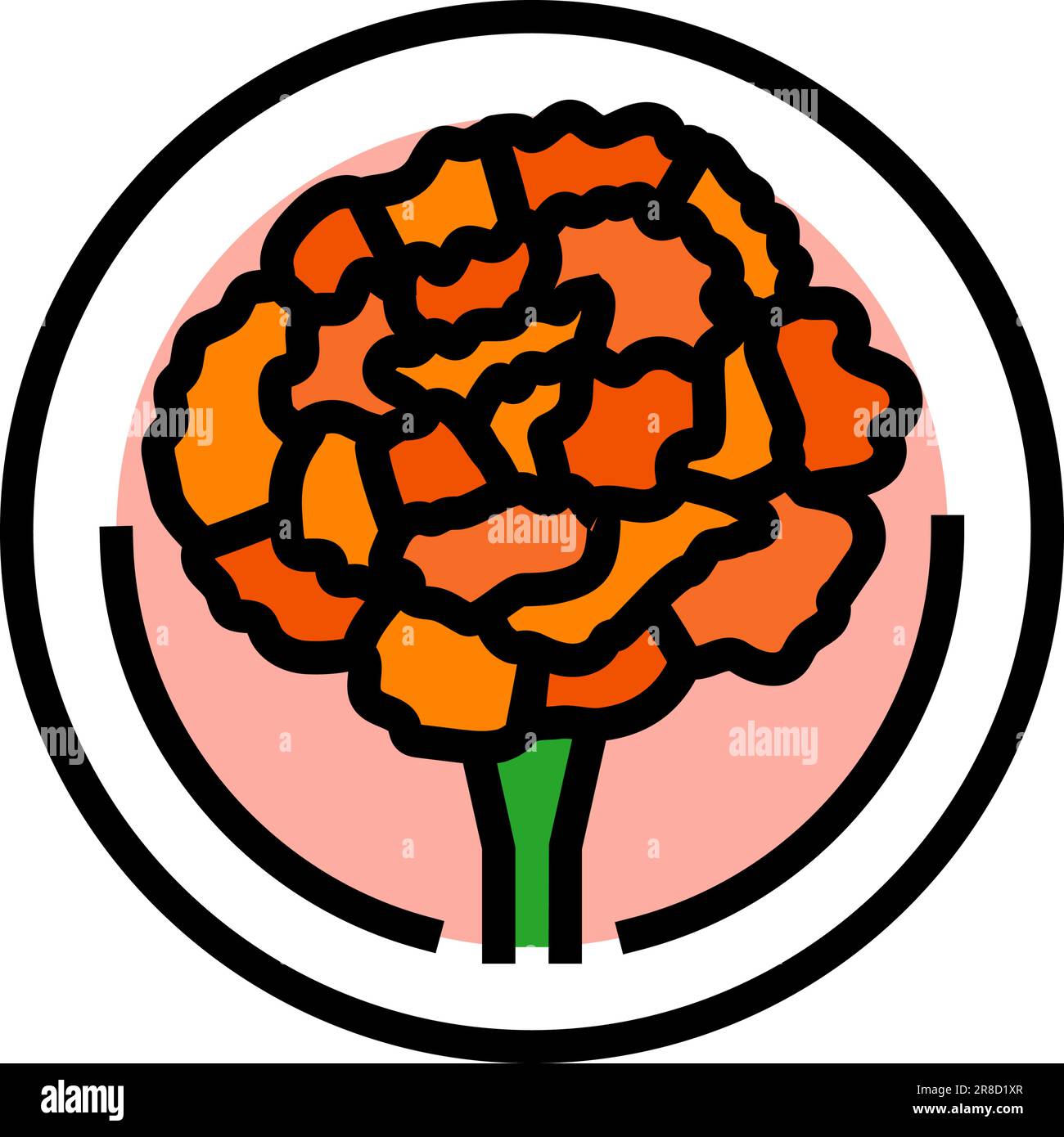 Marigold display Stock Vector Images - Alamy
