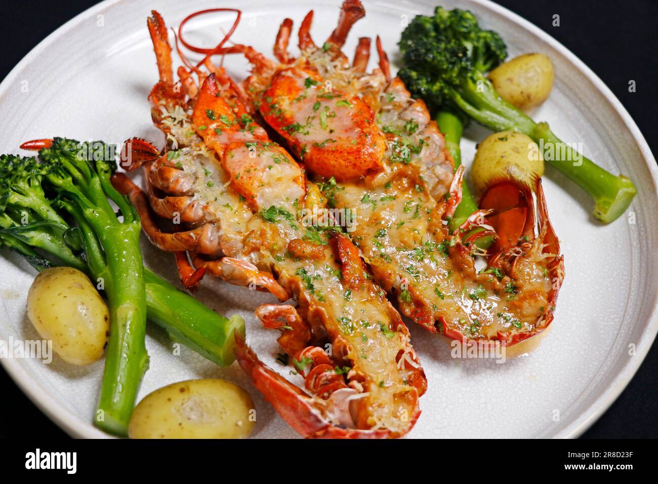 canadian maine lobster thermidor dish with broccoli and baby potato ...