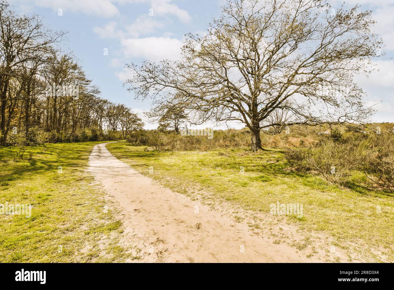 a dirt road in the middle of a field with dead trees on both sides and ...