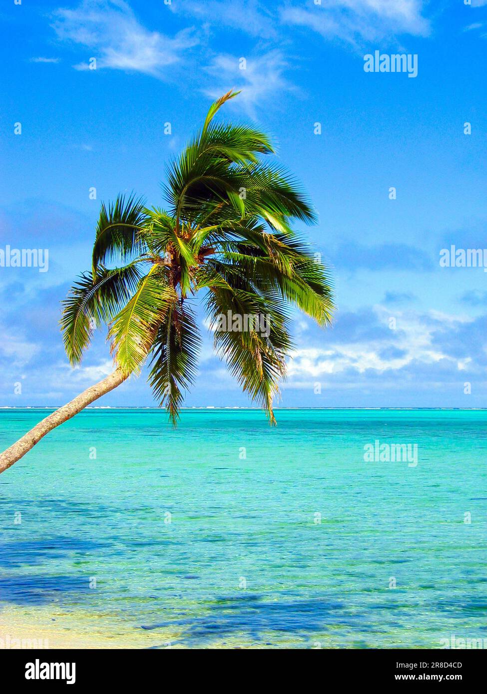 Coconut palm over emerald blue water of a tropical island - Huahine ...