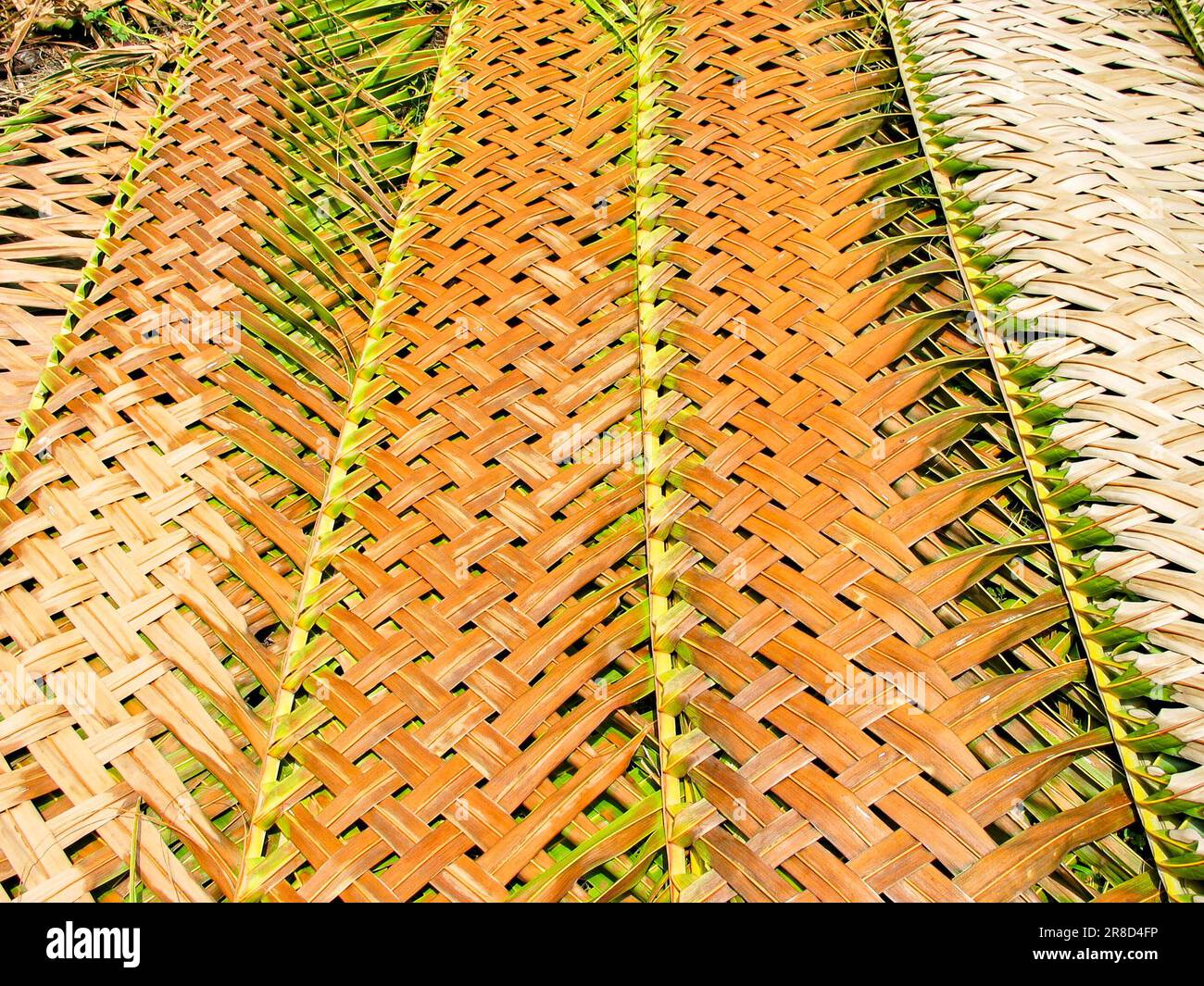 Woven mat made of coconut palm leaves - Polynesian art and handicraft ...