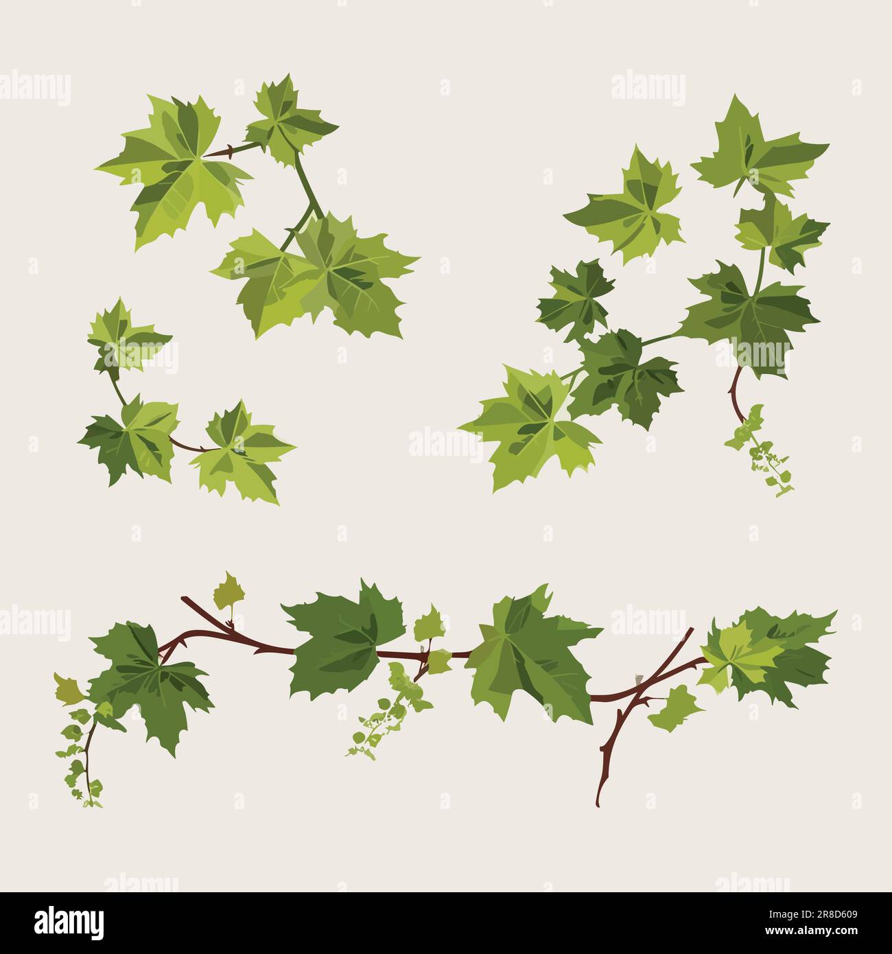 Table grape vineyard Stock Vector Images - Alamy